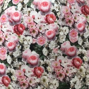 Zara | Dresses | Zara Trafaluc Roses Design Dress Sz M | Poshmark